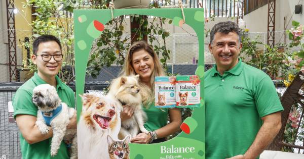 BRF PET apresenta nova linha premium de sachês voltada para alimentação ...